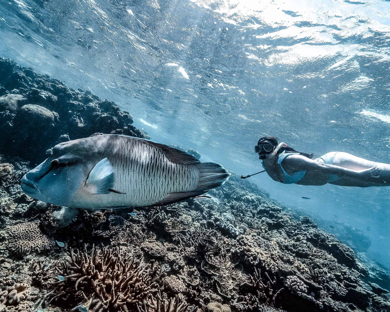 Best Great Barrier Reef Islands- One World Wanderer