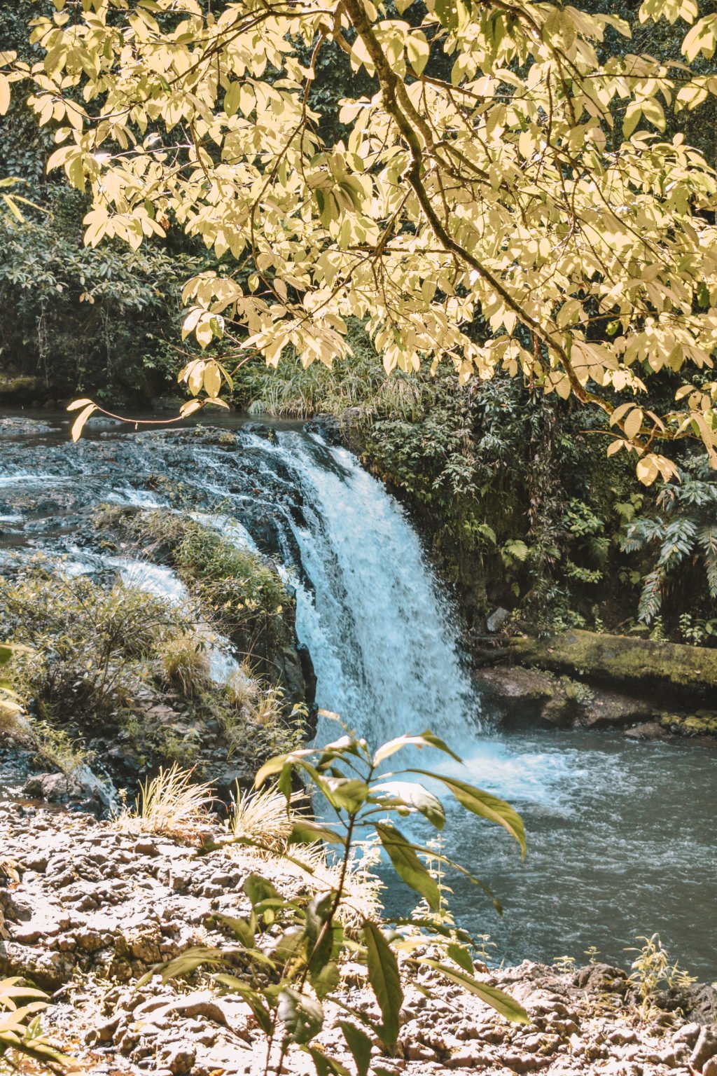Hiking Nandroya Falls in North Queensland's Atherton Tablelands - One ...